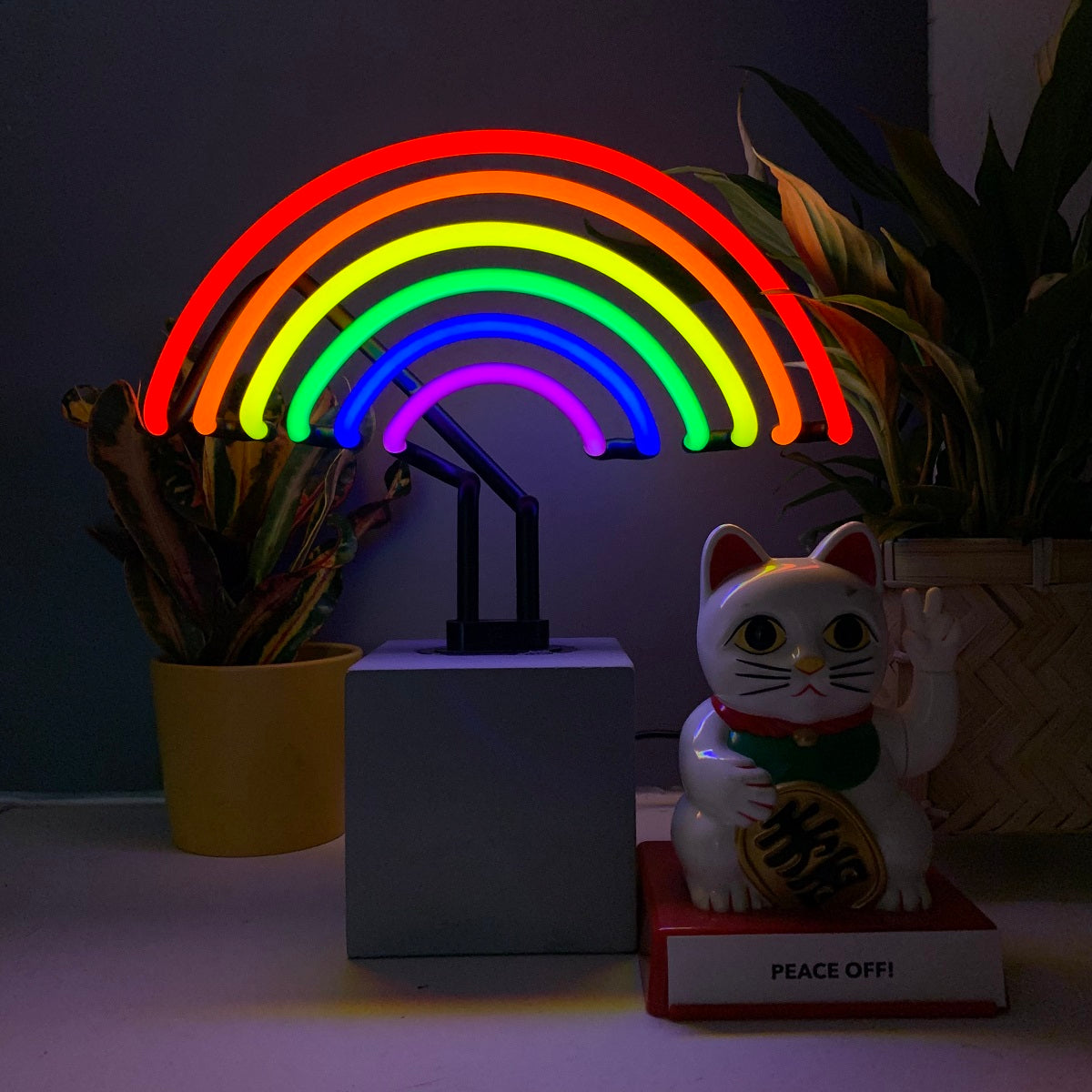 Rainbow Neon Light | Quirky Lighting + Gifts